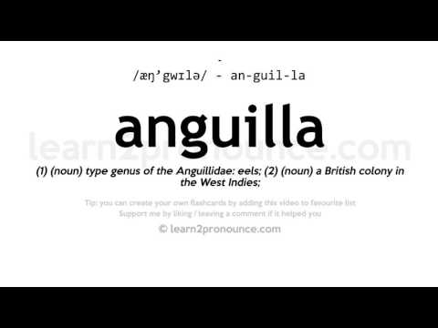 Pronunciation of Anguilla | Definition of Anguilla
