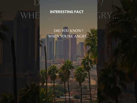 "Riding the Rage Wave: Psychology of Anger Explained! ππ‘ | PsychShorts"