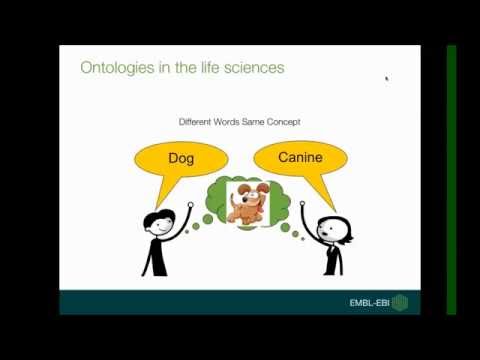 Ontology Lookup Service (OLS)
