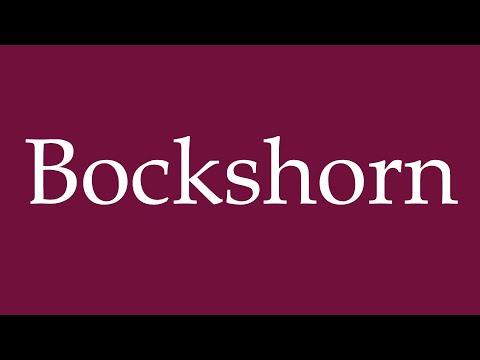 How to Pronounce ''Bockshorn'' Correctly in German