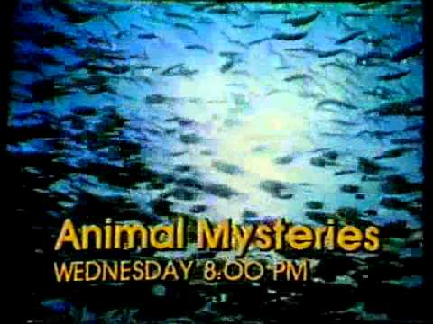 PROMO — Animal Mysteries