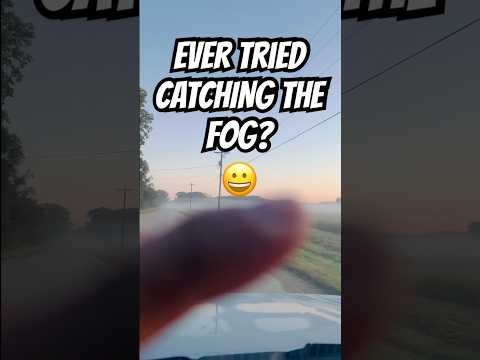 The fog #puns #learnenglish #humor #mothernature #foggy #weather