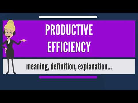 What is PRODUCTIVE EFFICIENCY What does PRODUCTIVE EFFICIENCY mean PRODUCTIVE EFFICIENCY meaning