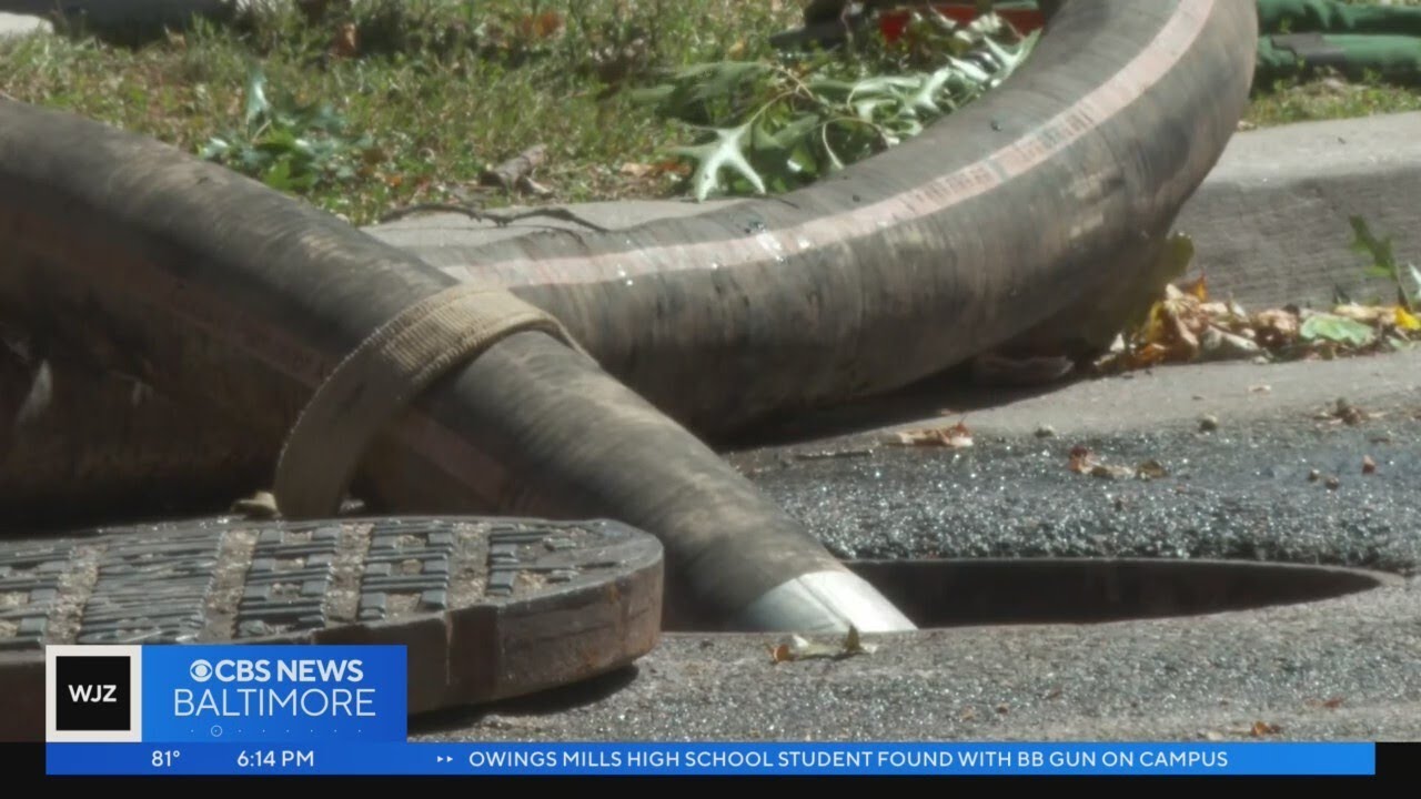 Extremely elevated bacteria levels detected in Spa Creek following sewage overflow in Annapolis