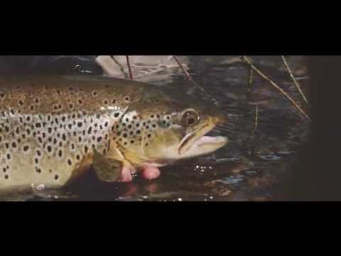 TEASER Where The Big Fish Rises III SWEDEN