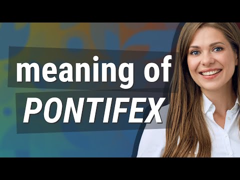 Pontifex | meaning of Pontifex