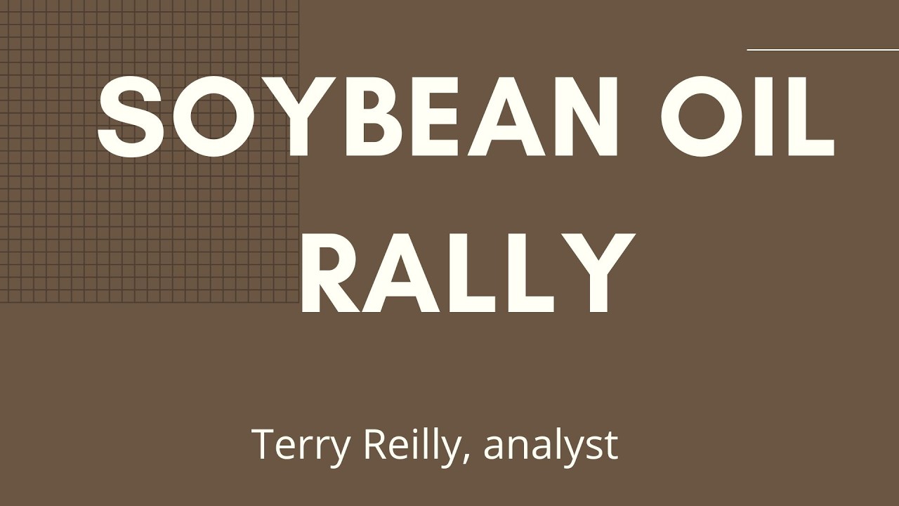 Soybean Volatility Explained | Soy Oil Rally Strength & Corn Balance Sheet Shake-Up