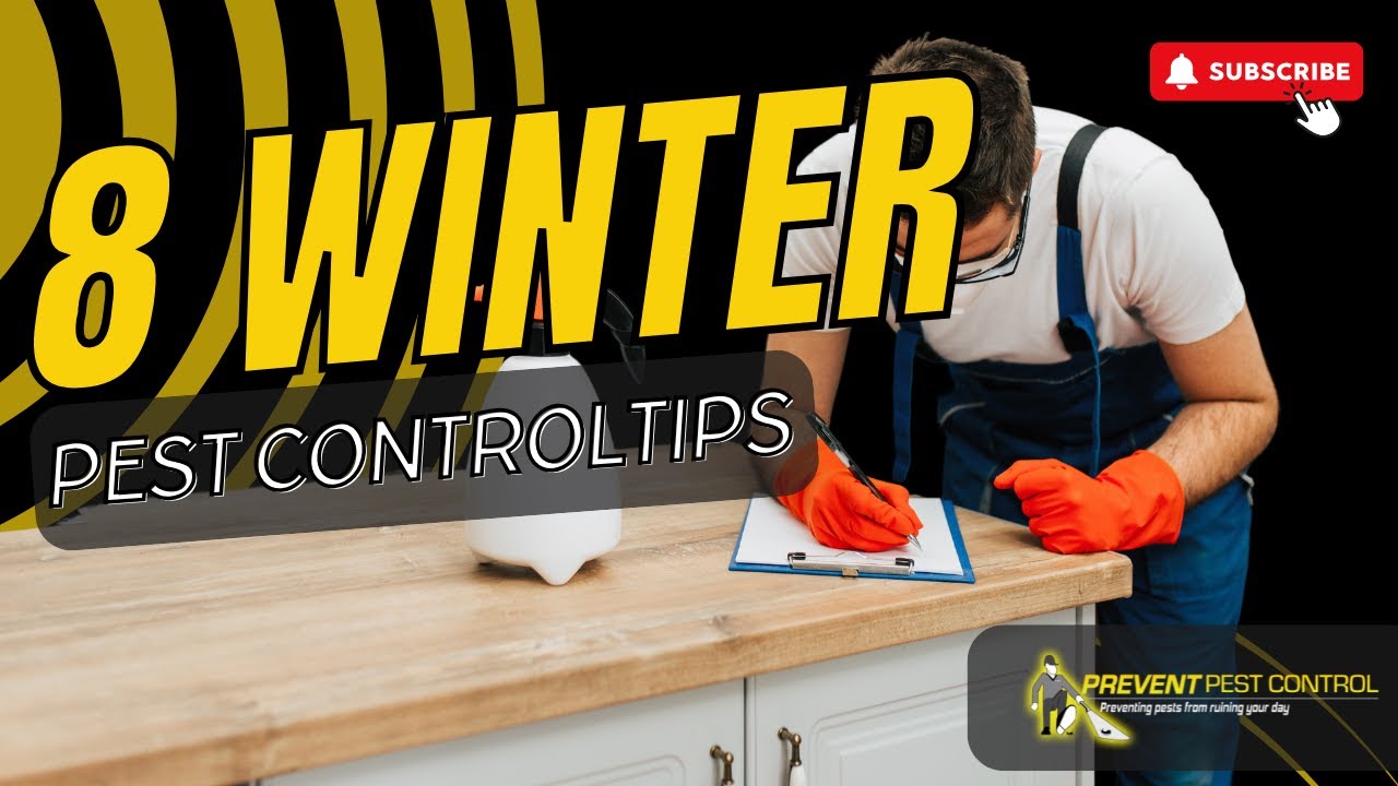 8 Winter Pest Control Tips