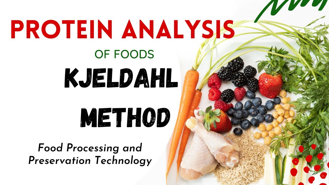 How to Determine Protein Content of Foods I Kjeldahl Method I Food Science and Technology