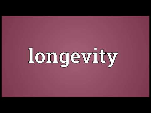 longetive meaning in English