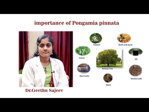 Importance of Pongamia pinnata | Dr.Geethu Sajeev