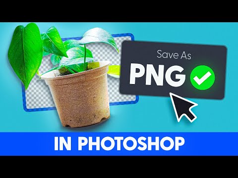 How I Save Photos with No Background in Photoshop β