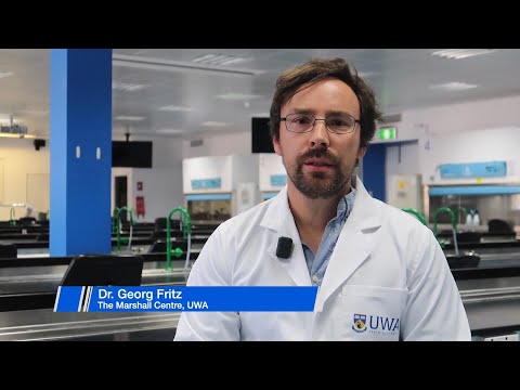 Meet The Experts : Dr. Georg Fritz