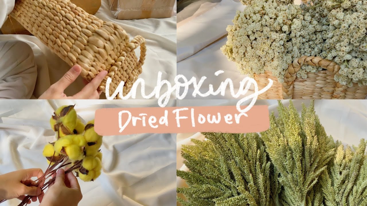 UNBOXING BUNGA KERING DAN PERALATAN JUALAN ✨