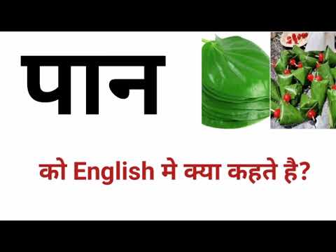 पान को इंग्लिश मे क्या कहते है//Pan ko English me kya kahte hai/Pan meaning in english #pan
