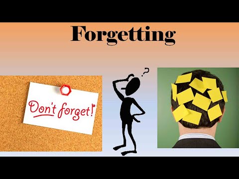 Psychology lecture in hindi | Forgetting