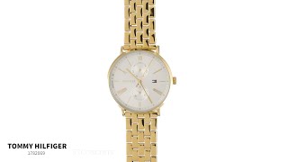 Tommy Hilfiger 1782069 - Zegarek Jenna • Zegarownia.pl
