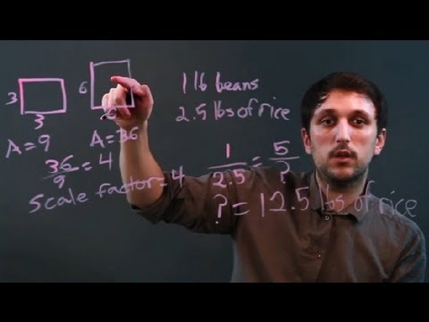 The Difference Between Scale Factors and Proportions : Math Questions