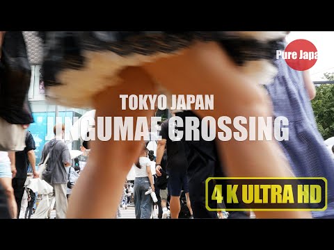 JINGUMAE CROSSING AUGUST 31, 2024. TIME 1450 GMT+9