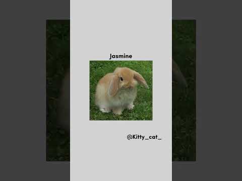 Some cute bunny names๐๐ฐ#shorts#aestheticgirl#bunnynames#shortsfeed#youtubeshorts