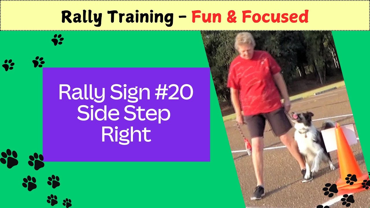 Rally Sign #20 Side Step Right – Dog Training Fun & Focused ...