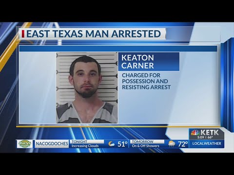 East Texas man tased, arrested after trying to assault Henderson County deputies