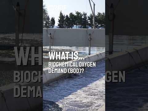 What is Biochemical Oxygen Demand (BOD)? #sustainability #topics #answeringyourquestions