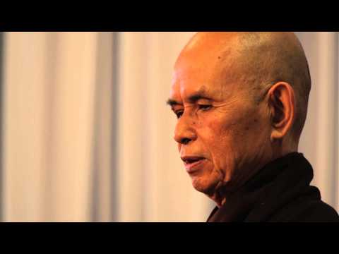 Martin Luther King, Gandhi are as alive as ever - Thich Nhat Hanh