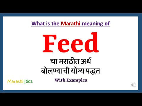 Feed Meaning in Marathi | Feed म्हणजे काय | Feed in Marathi Dictionary |