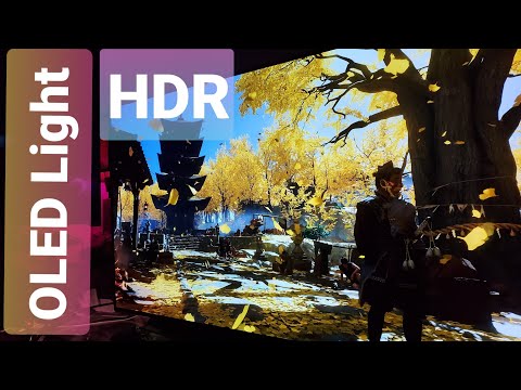 LG CX48 OLED Light & HDR Contrast | My Thoughts & Settings #Selflitoled #LGOLED #BestTV