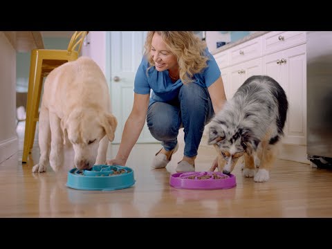 Chewy Keeps Our Pets Happy