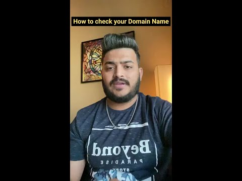 How to Check Your Domain Name