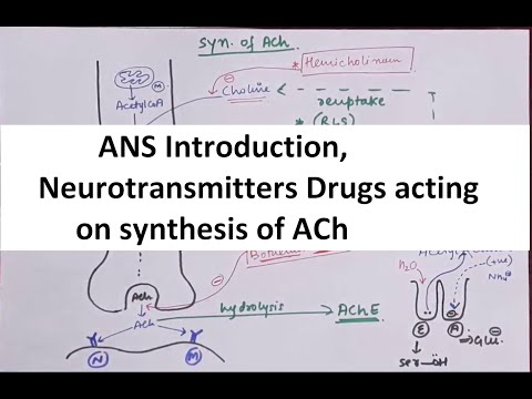 ANS part 1 Introduction, neurotransmitters and drugs acting on synthesis of Ach