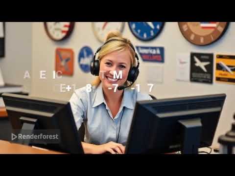 American Airlines Customer Service Guide free