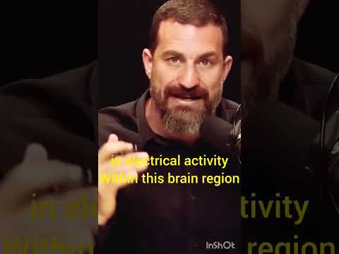 Short-Term Memory & Weed: What You Need to Know"