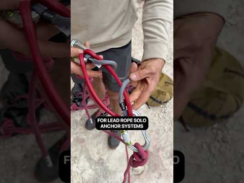 "Comfort Catch" Lead Rope Solo Absorber!