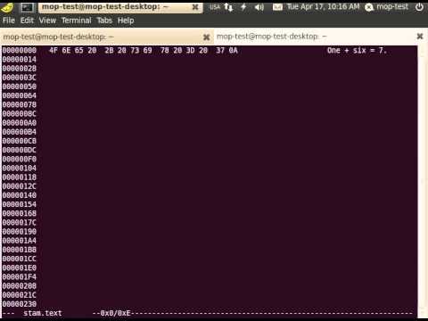Using Hexedit in Linux
