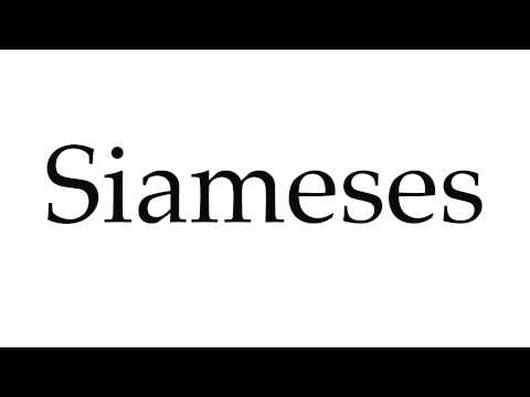 How to Pronounce Siameses