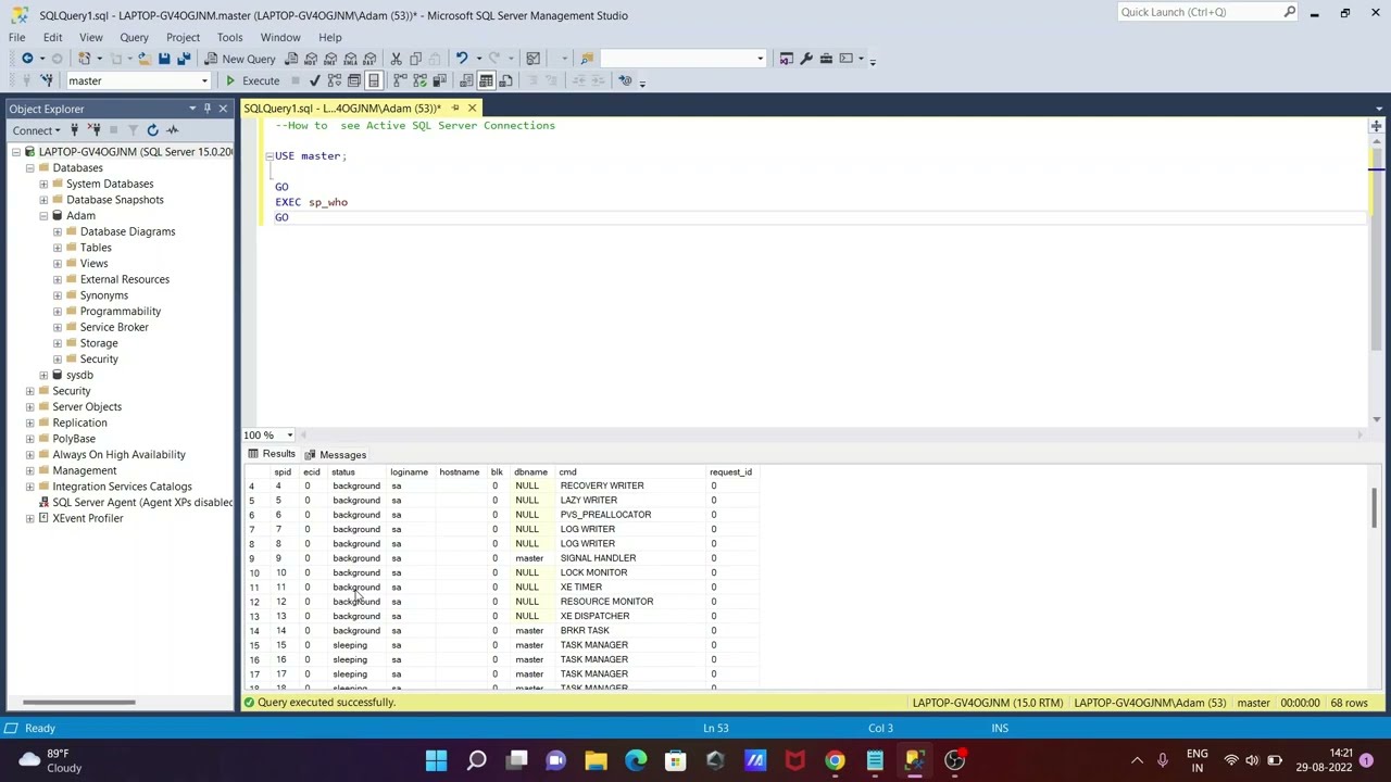How to see active connections SQL server