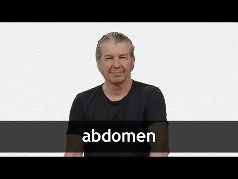 ABDOMEN - English pronunciations | Collins