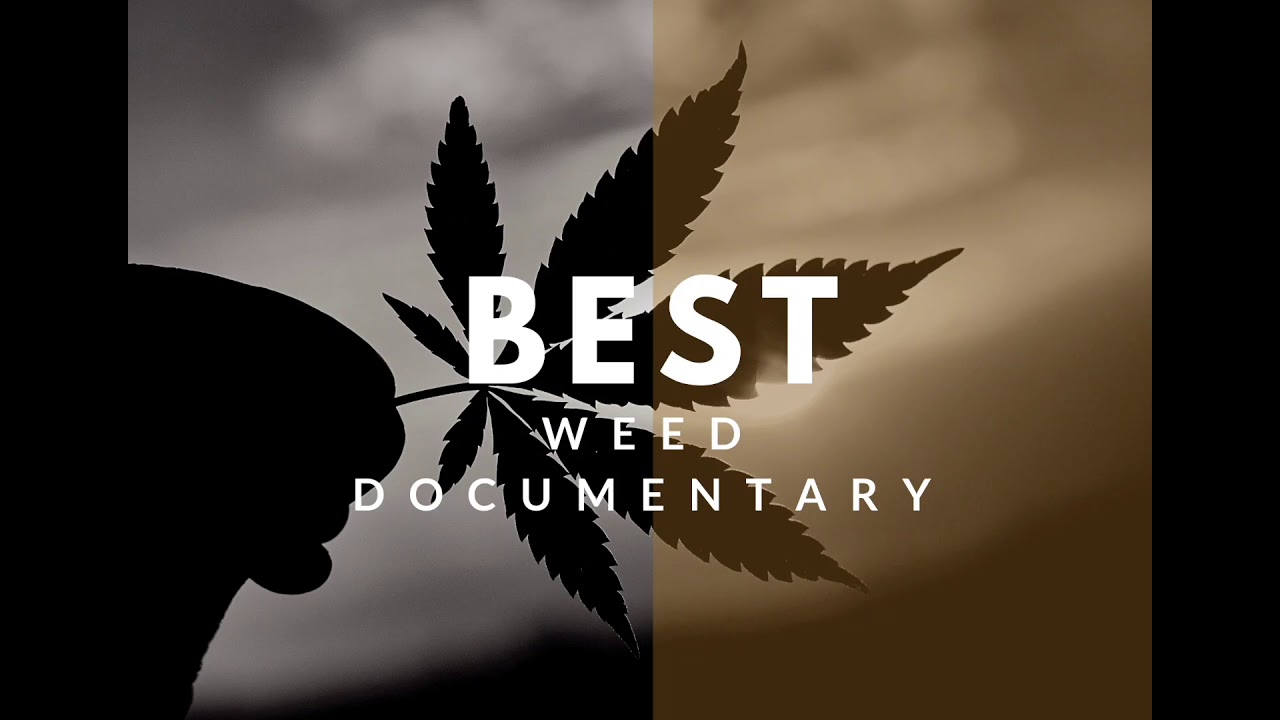 List of Best Marijuana Documentaries you must Watch