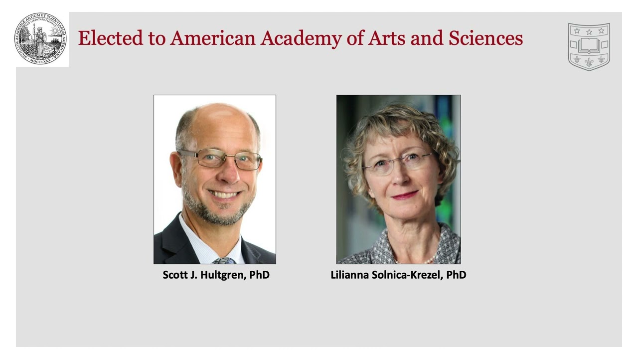 Faculty recognition | 2023 State of the School of Medicine