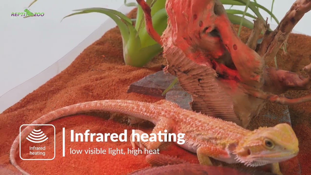 REPTI ZOO 25W Nano Reptile Infrared Heating Lamp 2 Pack for Small Geckos,Turtle, Dragon, Lizard