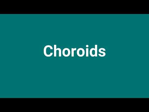 'Choroids' Meaning and Pronunciation