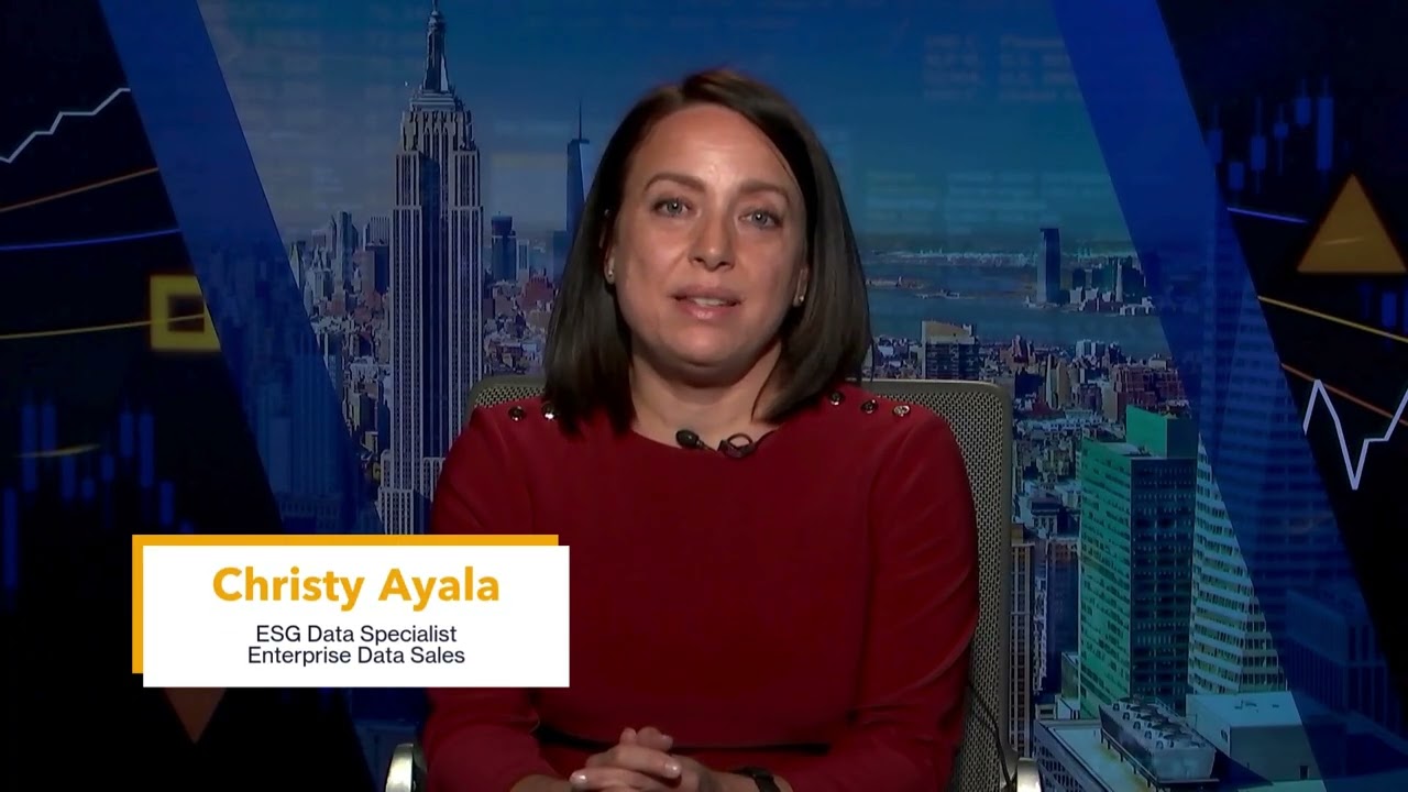 Key Insights From Trump’s Election, COP29: November ESG Bulletin