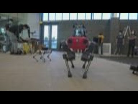 Ford, U-M partner on robotics research, building