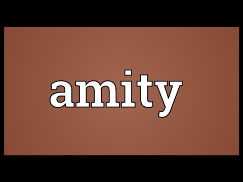 Amity Meaning