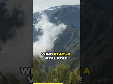 Why Does the Wind Blow? #shorts
