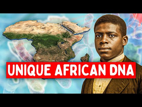 Why the African American DNA Is So Unique? (Ancestors & Extinction)