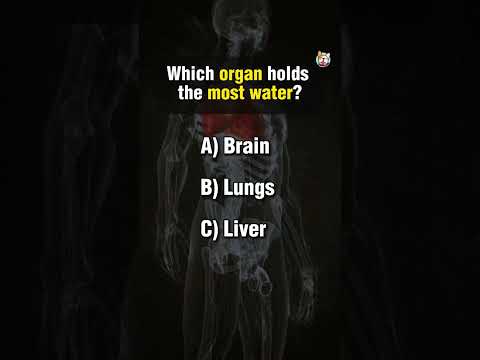Anatomy Quiz!